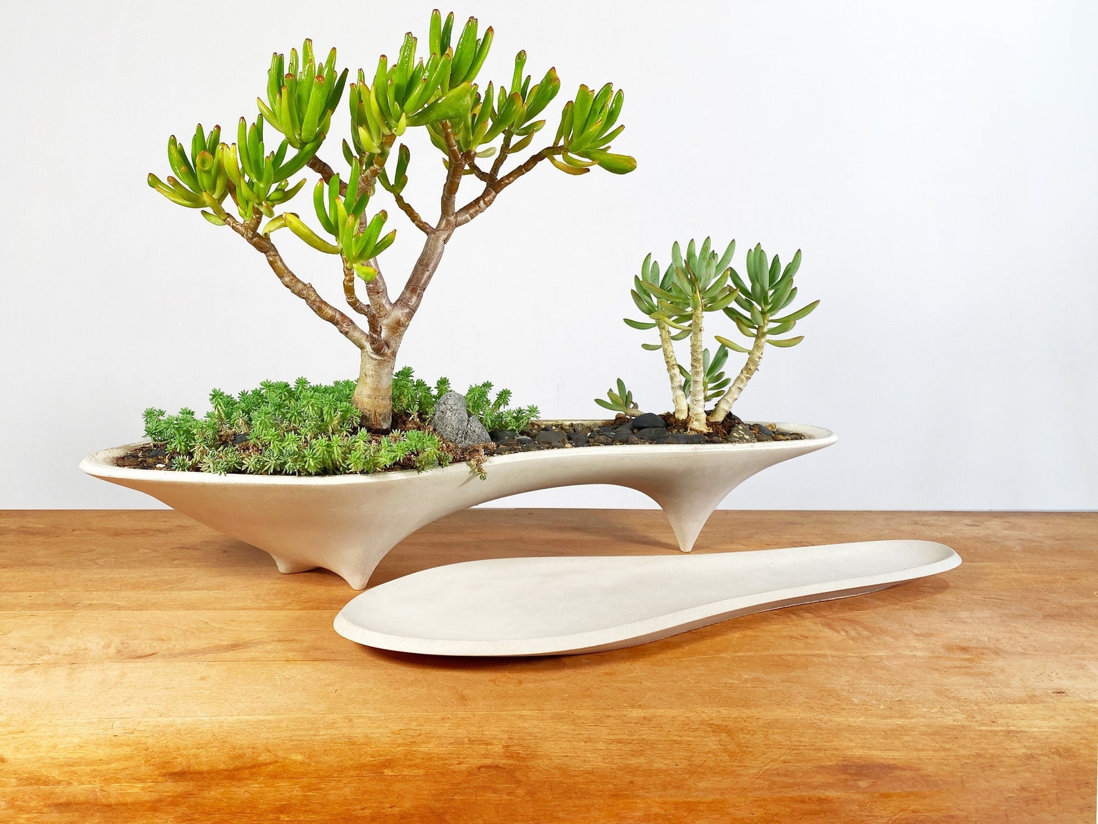 Island Planter With Drip Tray - 21" Modern Concrete Planter - Etsy