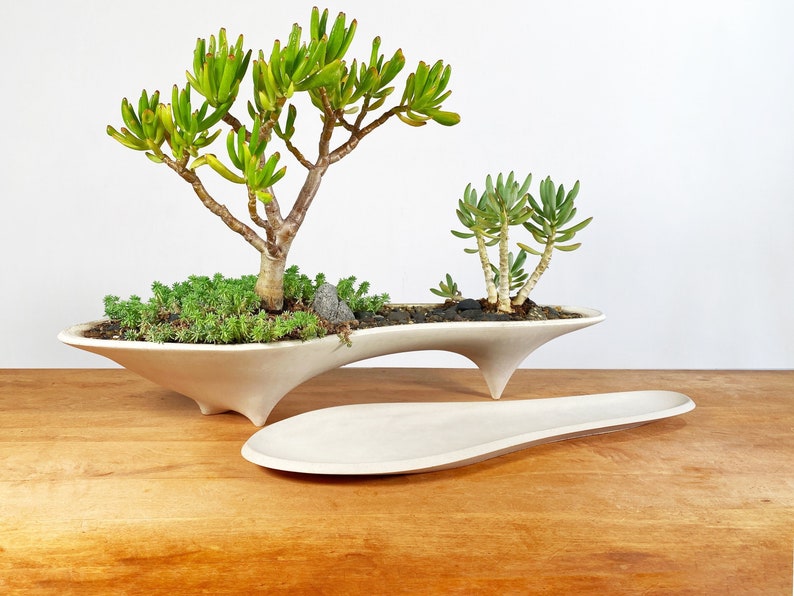 Island Planter With Drip Tray - 21" Modern Concrete Planter - Etsy