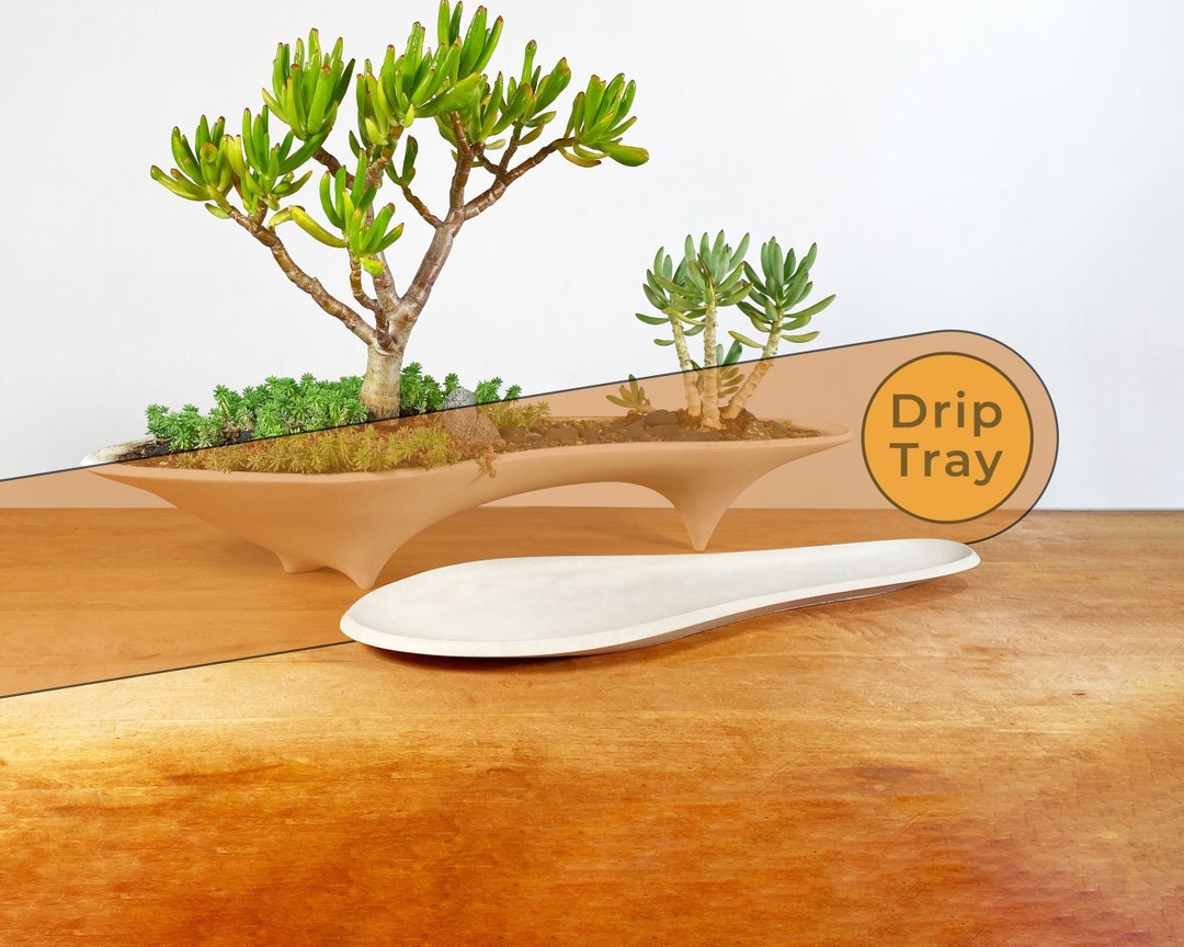 Mid-century Modern Cement Plant Tray: Island Planter Drip Saucer - Etsy