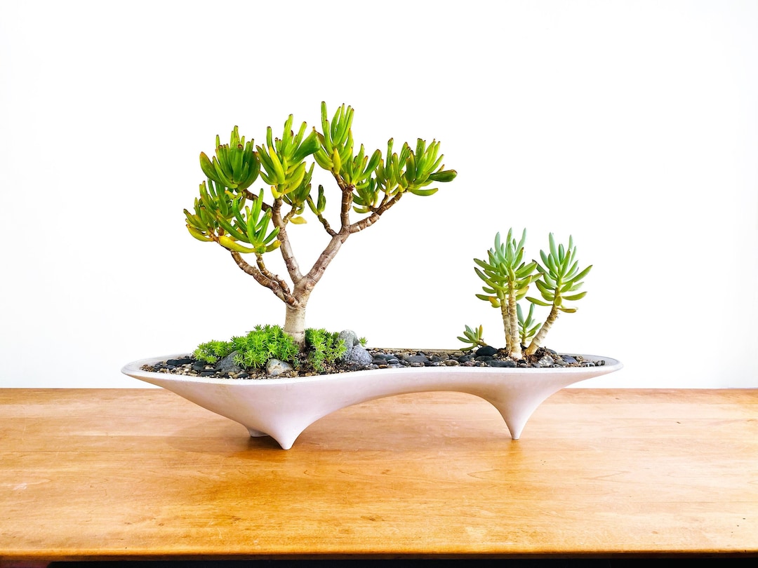 Concrete Succulent & Bonsai Island Planter - Modern Long Centerpiece ...