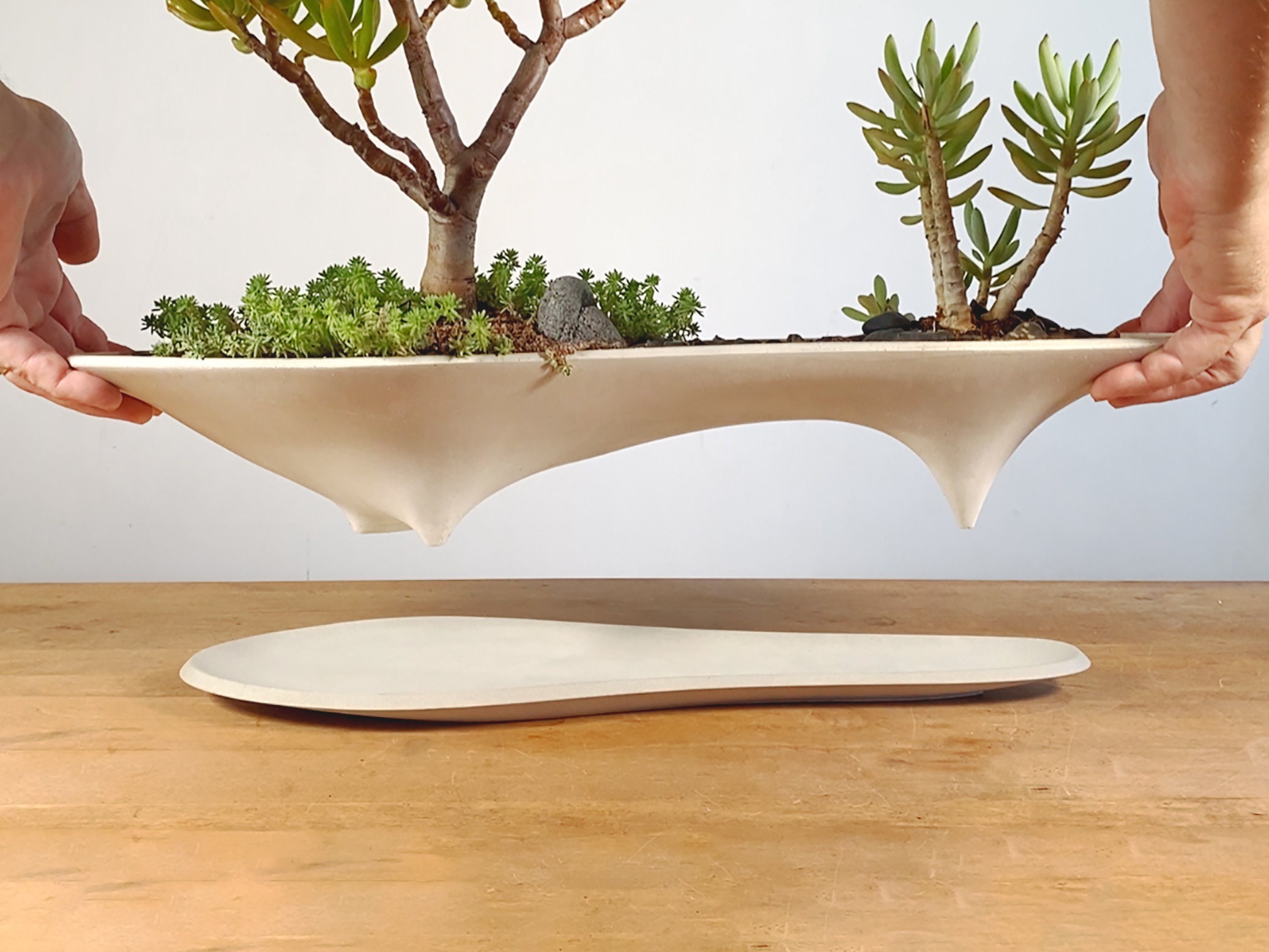 Island Planter With Drip Tray - 21" Modern Concrete Planter - Etsy