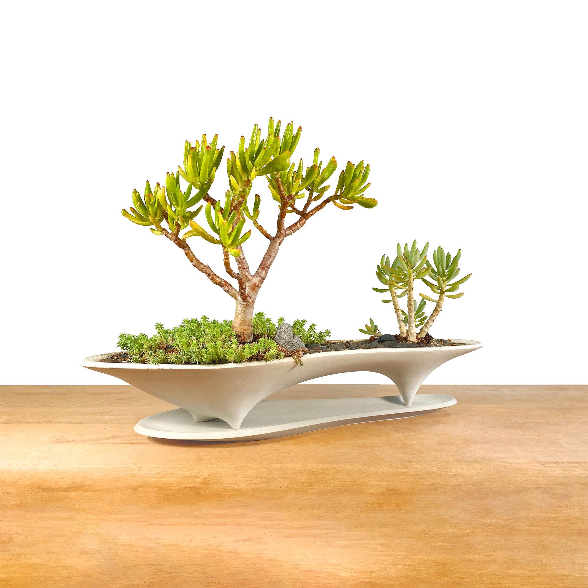 Island Planter With Drip Tray - 21" Modern Concrete Planter - Etsy