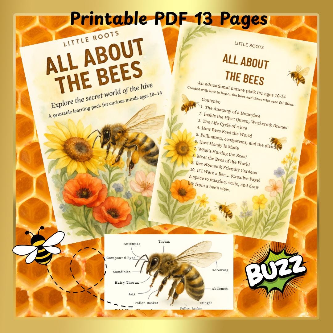 Bee Life Cycle & Pollination Printable | Homeschool Science Unit PDF ...