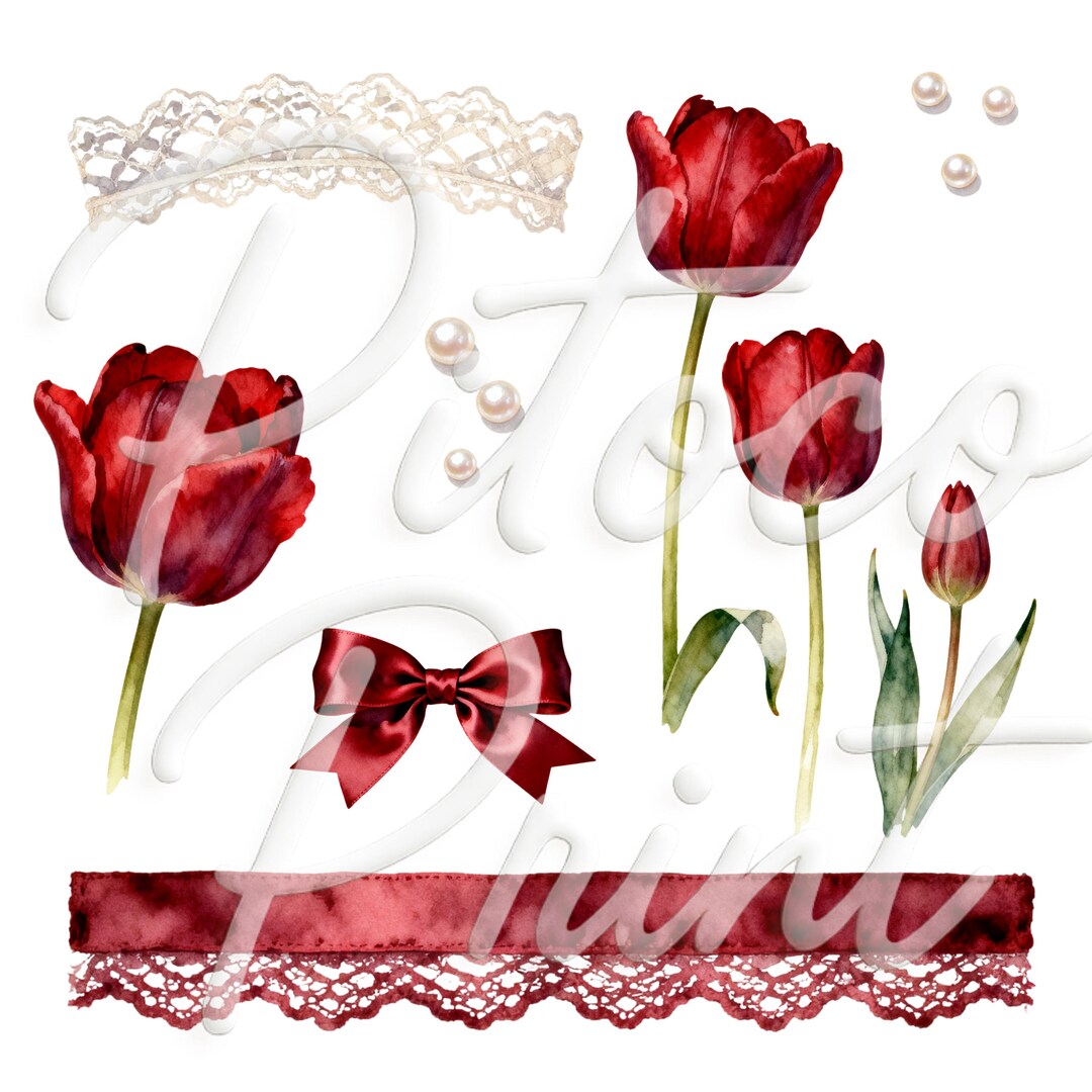 Watercolor Red Tulip Clipart Set – 6 PNG Files, Transparent, High ...