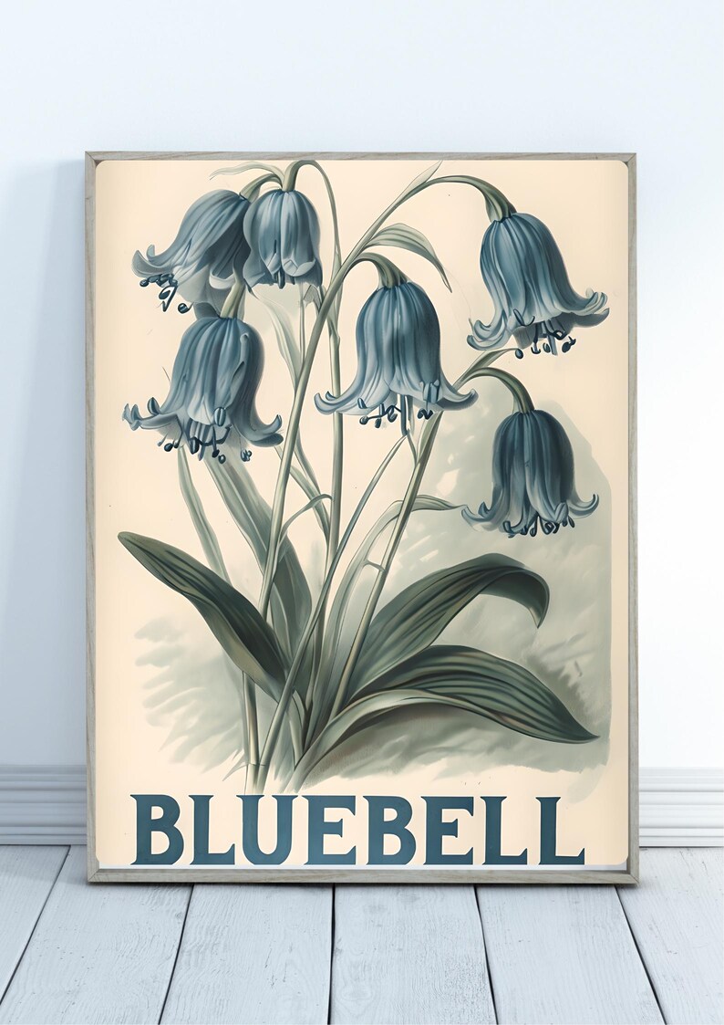 Vintage Bluebell Flower Rolled Poster Botanical Art Print Floral Decor ...