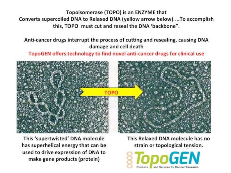 Cool Slogans Ts: DNA/RNA Themes Based on Genetics, Epigenetics ...