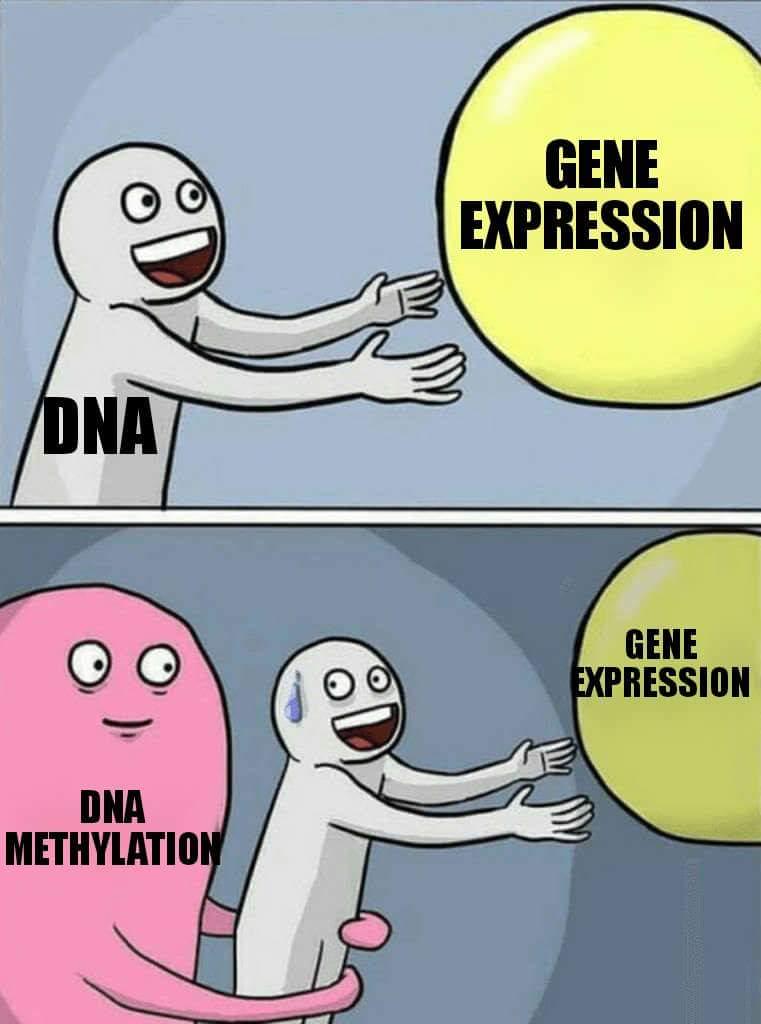 Cool Slogans Ts: DNA/RNA Themes Based on Genetics, Epigenetics ...