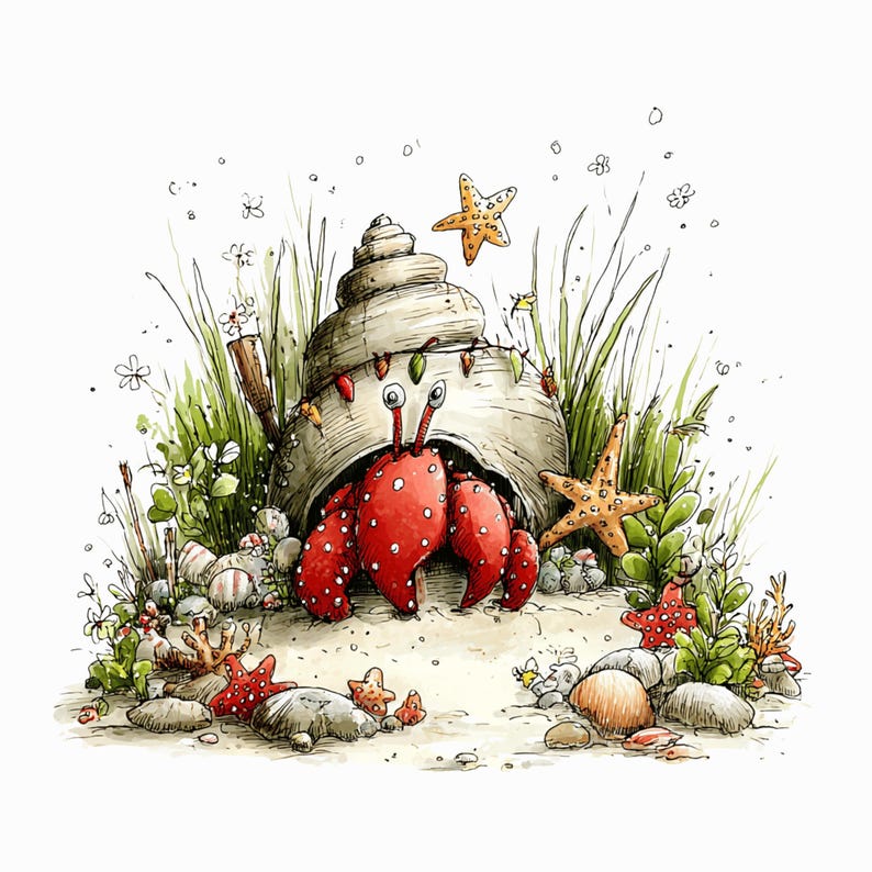 Hermit Crab Clipart PNG: Beach Crab Illustration, Summer Ocean Animal ...