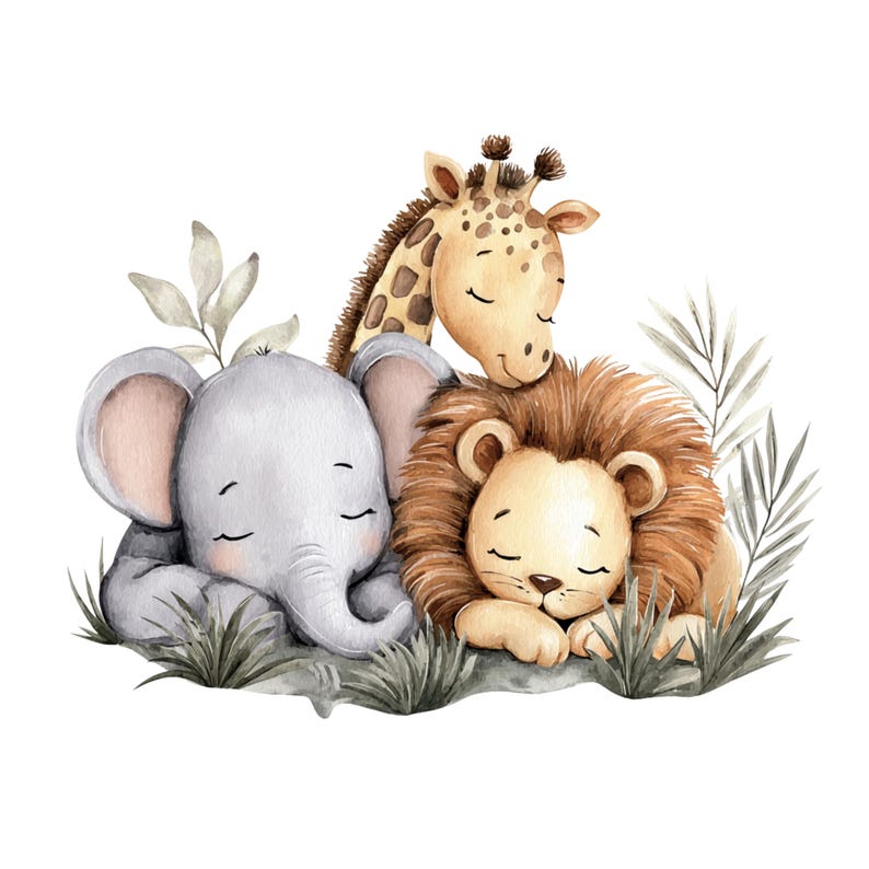 Safari Animals Watercolor Clipart: Jungle Zoo PNG (digital Download ...