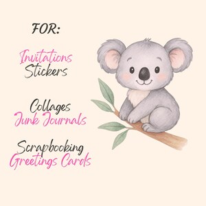 Cute Koala Clipart, Watercolor Baby Koala Animal Nursery Decor PNG ...