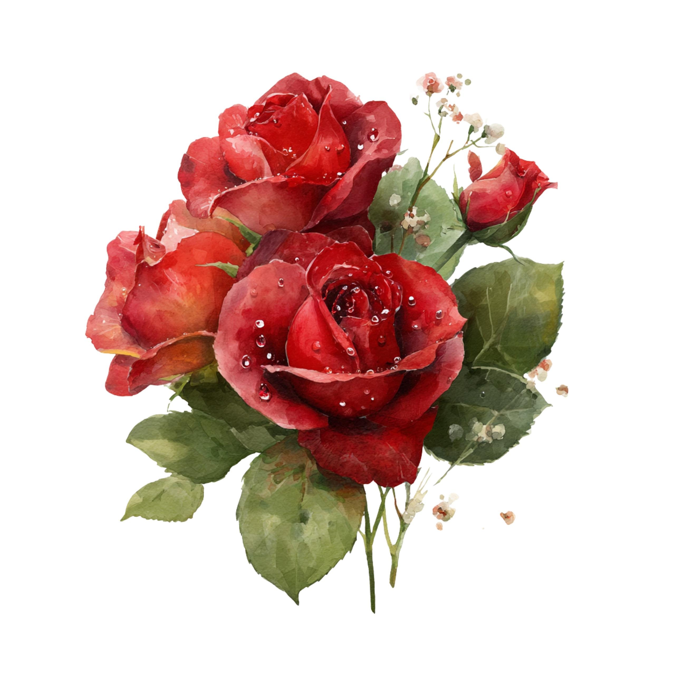 Watercolor Red Roses Bouquet Clipart: Romantic Floral PNG (digital ...
