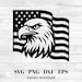 Eagle Head With USA Flag Svg & PNG Files, Patriotic Clipart Vector ...