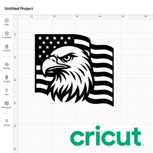 Eagle Head With USA Flag Svg & PNG Files, Patriotic Clipart Vector ...