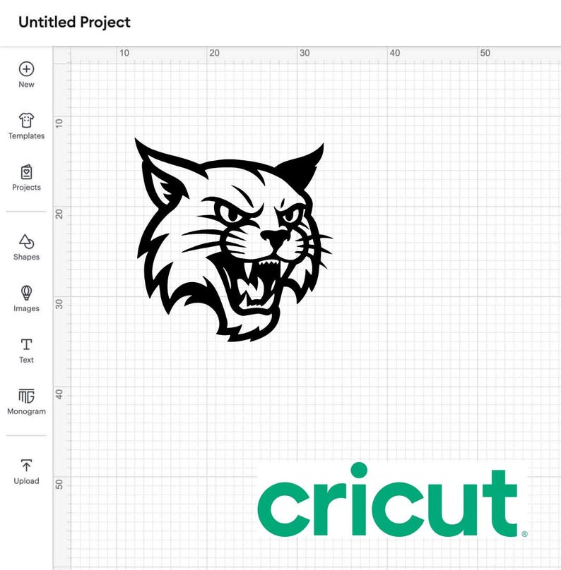 Wildcat Head SVG, Wildcat Face PNG, Wildcat Logo Svg, Wildcat PNG ...