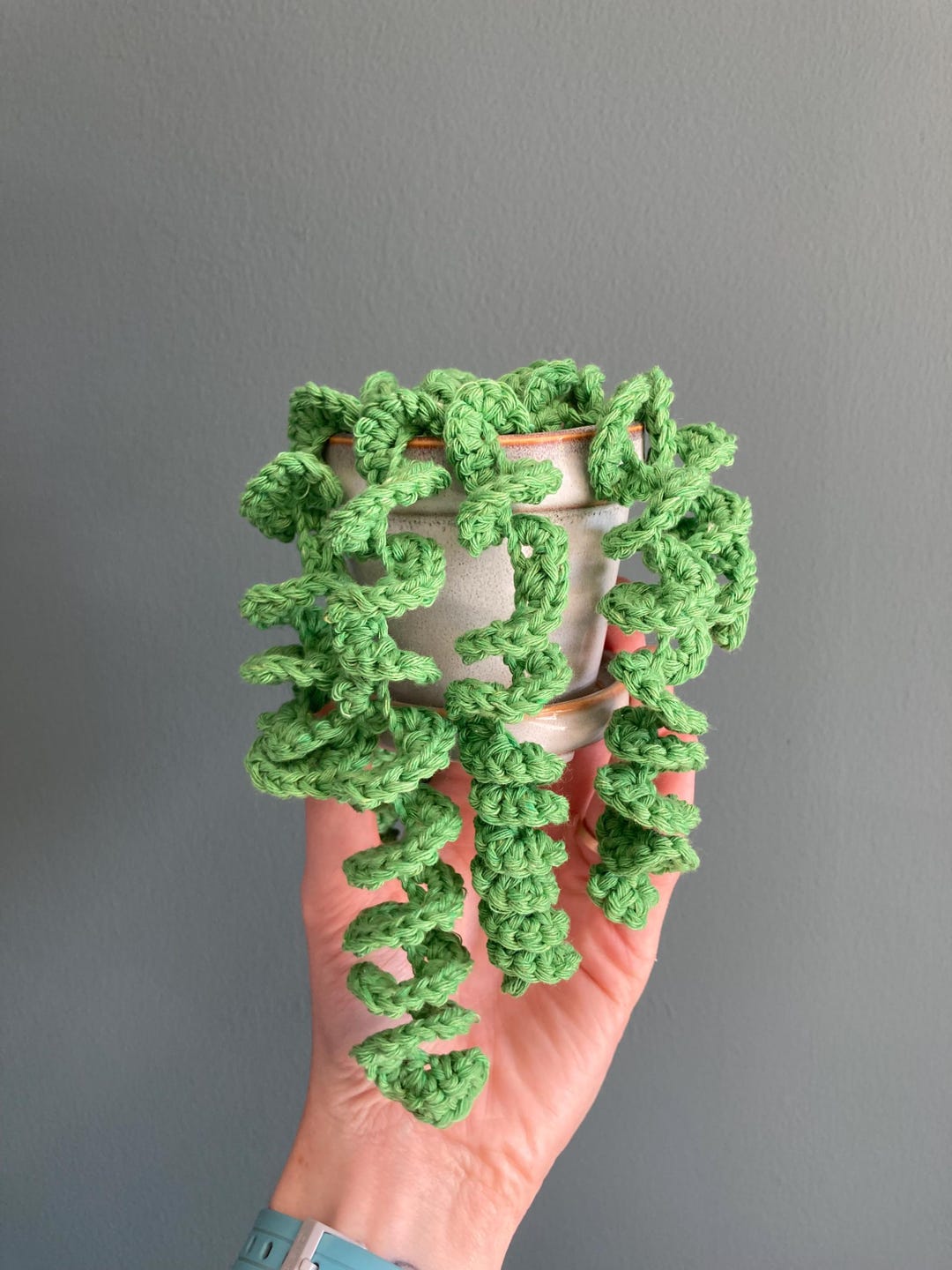 Crochet House Plant - Etsy