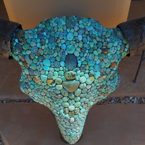 REDUCED XXL Male Bull Buffalo/bison Skull With Over 3.5 Lbs. Natural ...