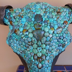 REDUCED XXL Male Bull Buffalo/bison Skull With Over 3.5 Lbs. Natural ...