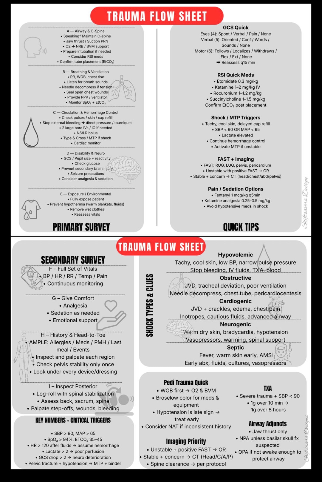 Trauma Flow Sheet | ER Nurse Cheat Sheet, TNCC Guide (printable) - Etsy