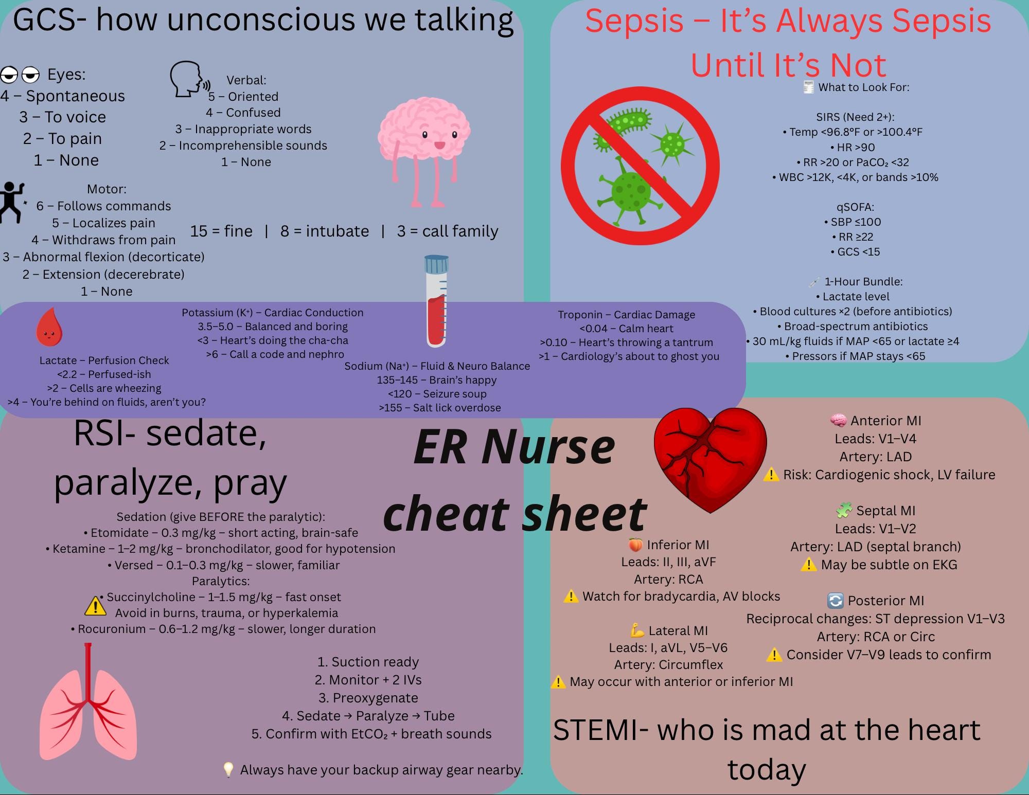 Er Nurse, Cheat Sheet, Stemi, GCS, RSI, Labs - Etsy