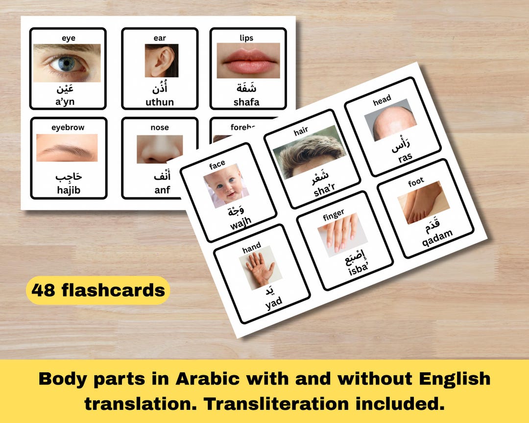 Arabic Body Parts Flashcards With and Without English Translation. Real ...