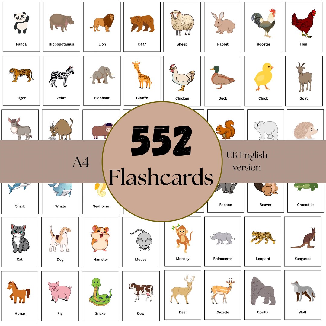 Flashcards Mega Bundle Flashcards for Kids, A4, Animals Flashcards ...