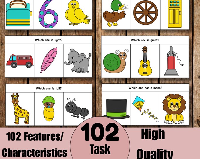 Functions of Objects Task Cards (ABLLS-R C37) - Etsy Canada