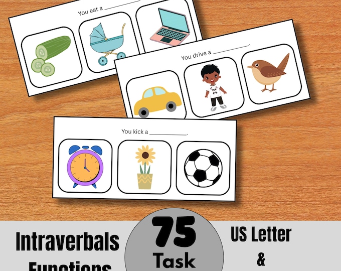 Function Cards - ABA & Speech Therapy - Discrete Trial Training Flash ...