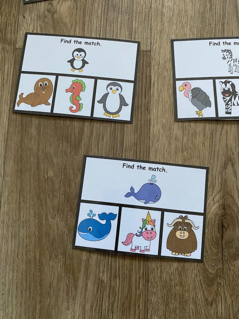 88 Non-identical Matching Task Cards, Match Non-identical Images for ...