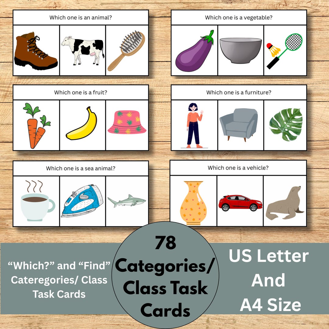 Category/class Task Cards, 78 Category Task Cards, Speech Therapy, ABA ...