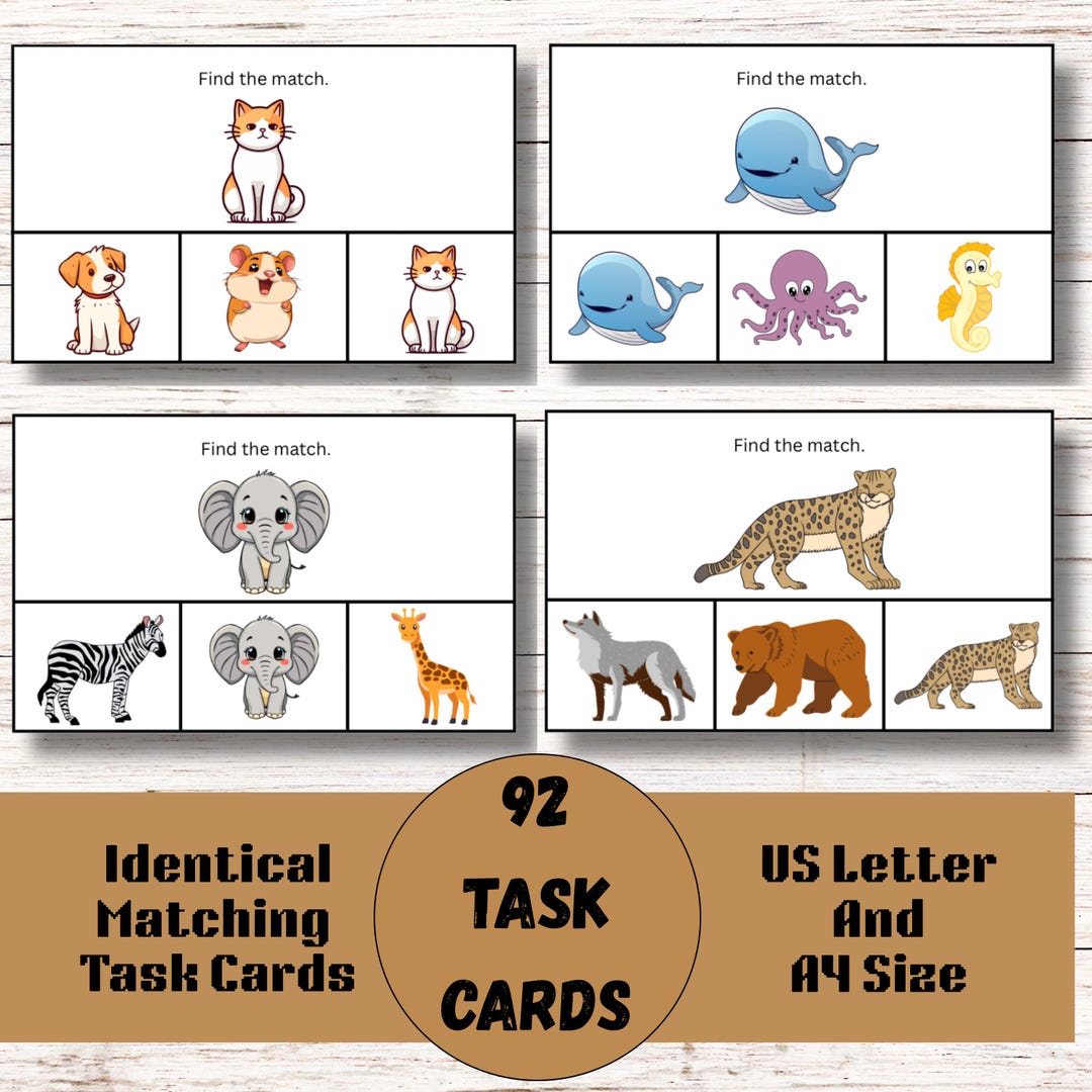 Identical Matching Task Cards, Kids & Toddler Matching Activity, Early ...