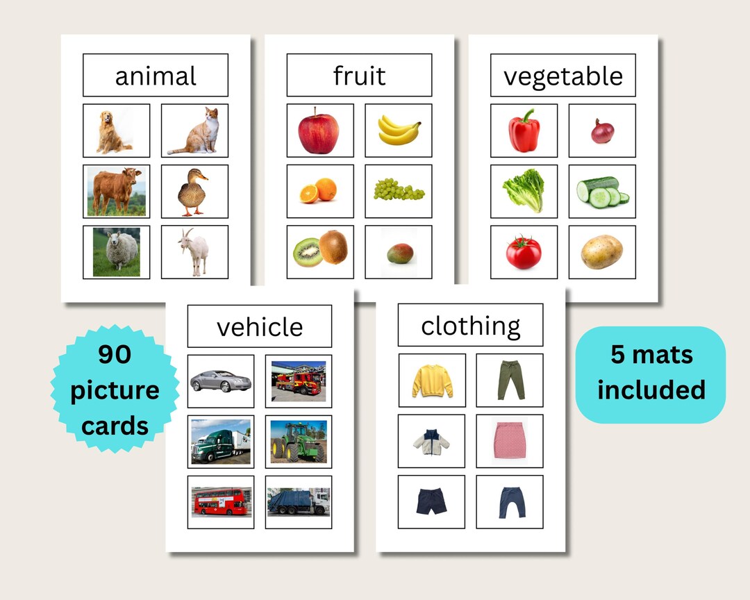 Sort by Category, 90 Real Picture Cards, 5 Mats, Expressive and ...