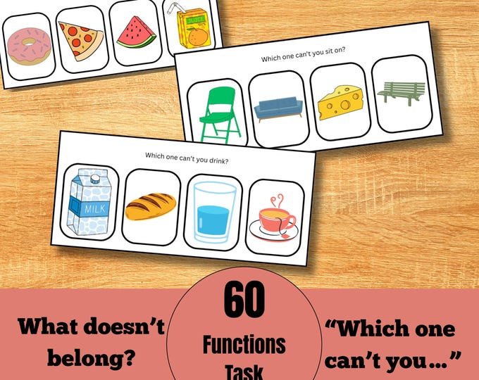 Functions of Objects Task Cards (ABLLS-R C37) - Etsy Canada