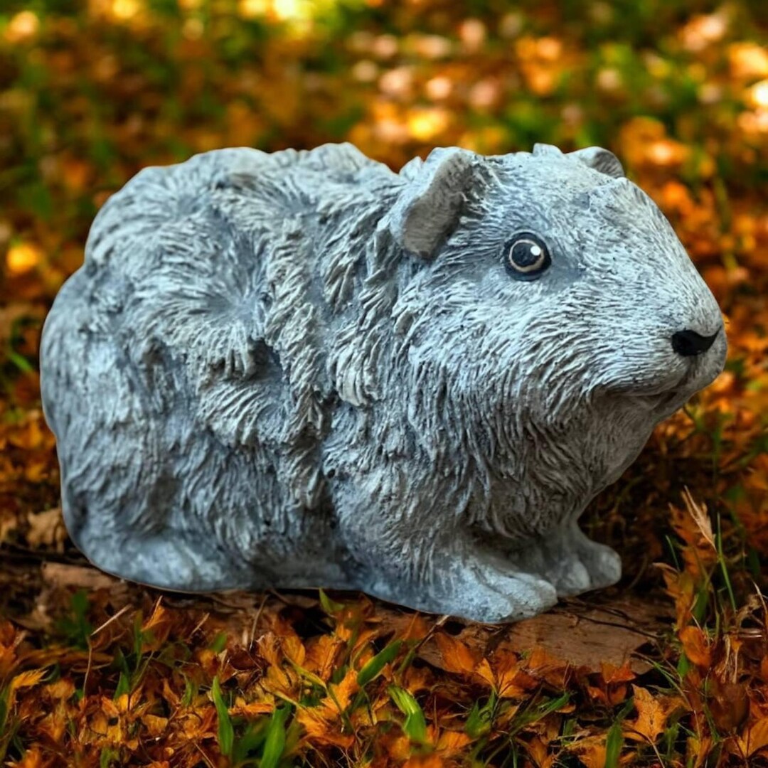 Guinea Pig Statue Detail Home Pet Indoor or Outdoor Pet Lovers ...