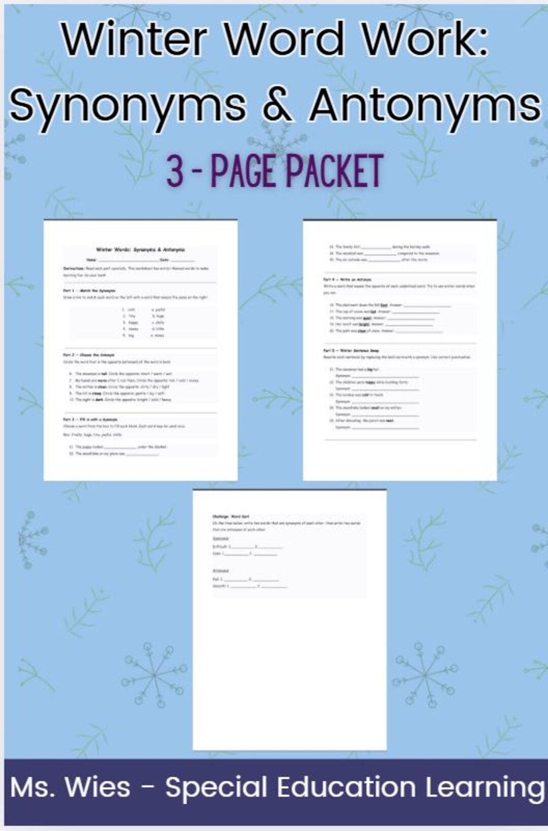 Winter Word Work: Synonyms and Antonyms - Etsy