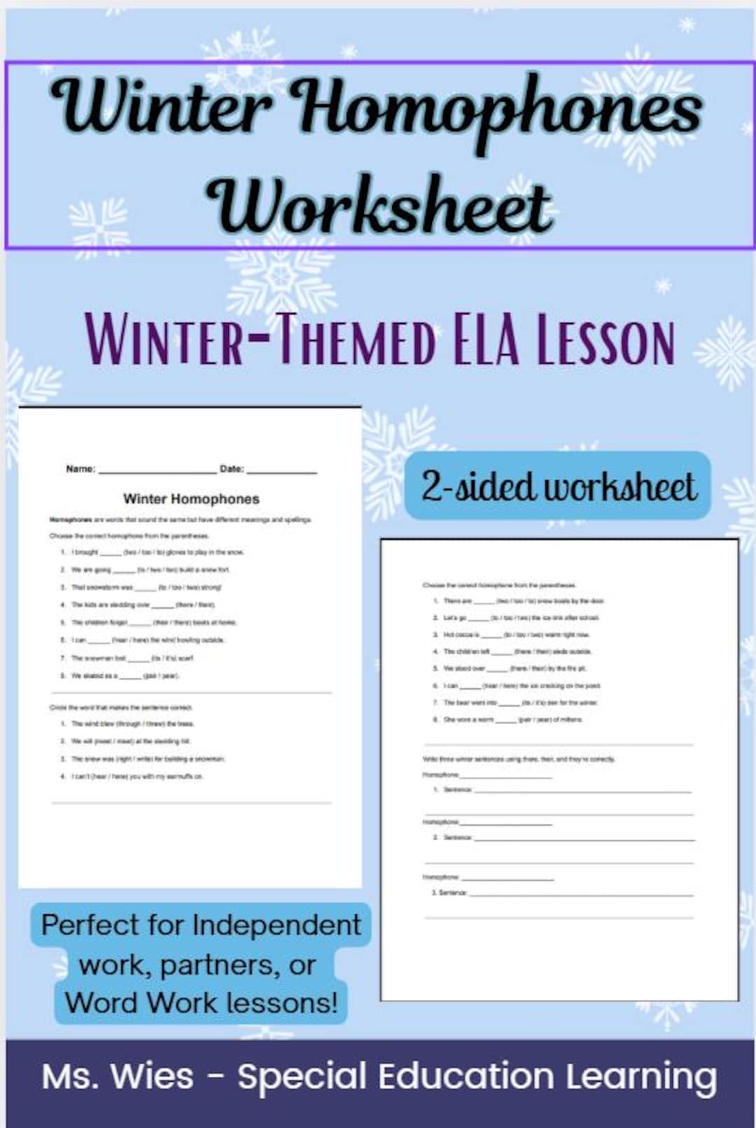 Winter Homophones Worksheet 2-page Printable - Etsy