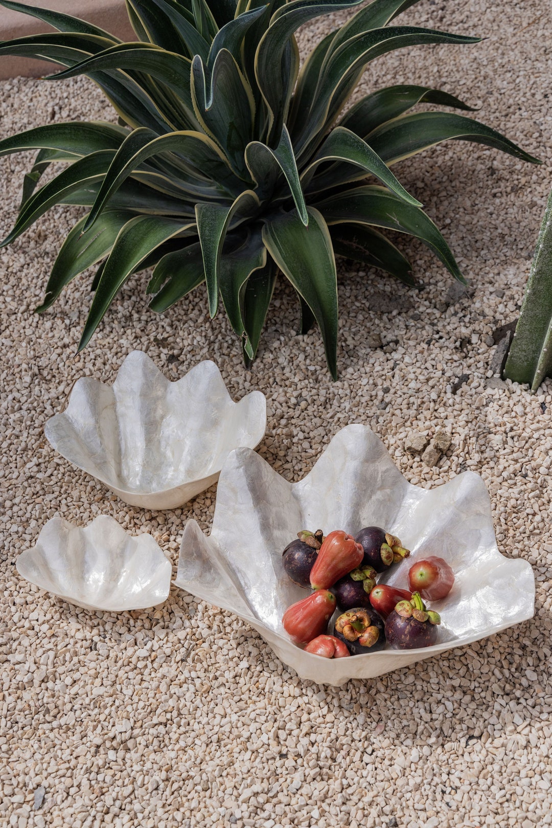 Clam Shell Bowl - Etsy