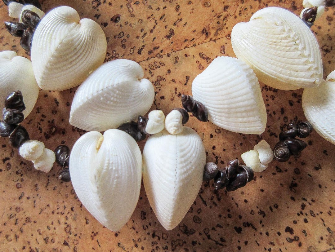 Cockle Shell Necklace, 40 RARE Heart Seashell, Vintage Mid Century Boho ...