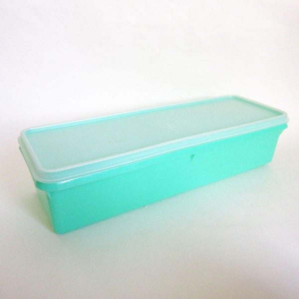 Vintage Tupperware Celery - Etsy