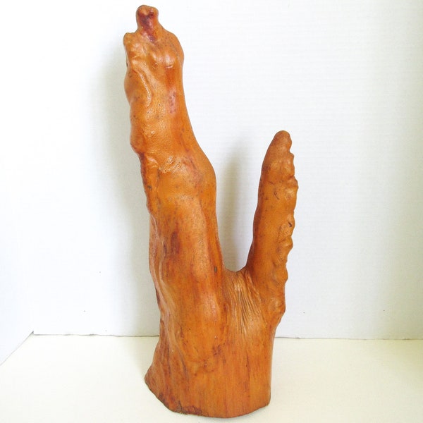 Cypress Knees - Etsy