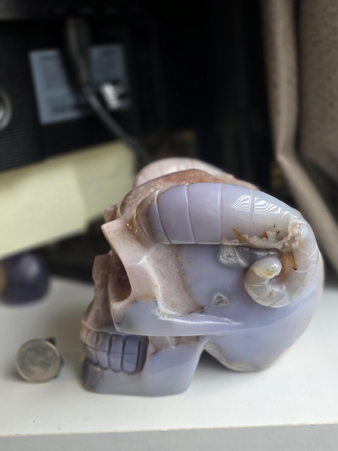 Crystal Ram Skull With Druzzy 1kg, 772g - Etsy