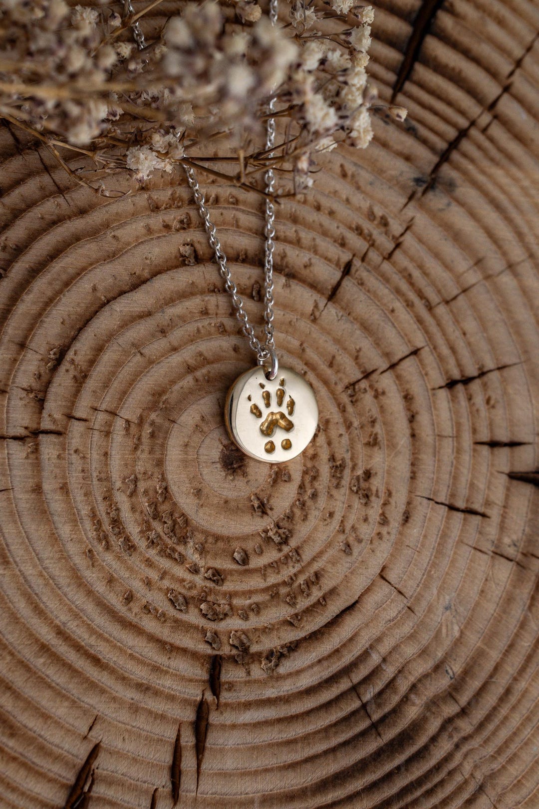 Bronze Squirrel Disc Necklace - Animal Spirit - Birthday Gift - Etsy