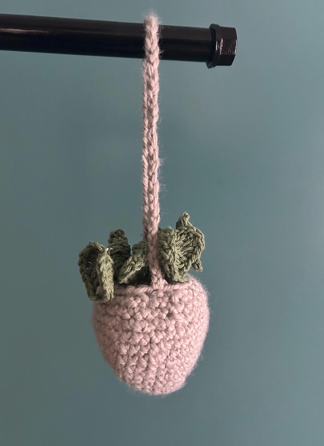 Devils Ivy Hanging Plant - Etsy