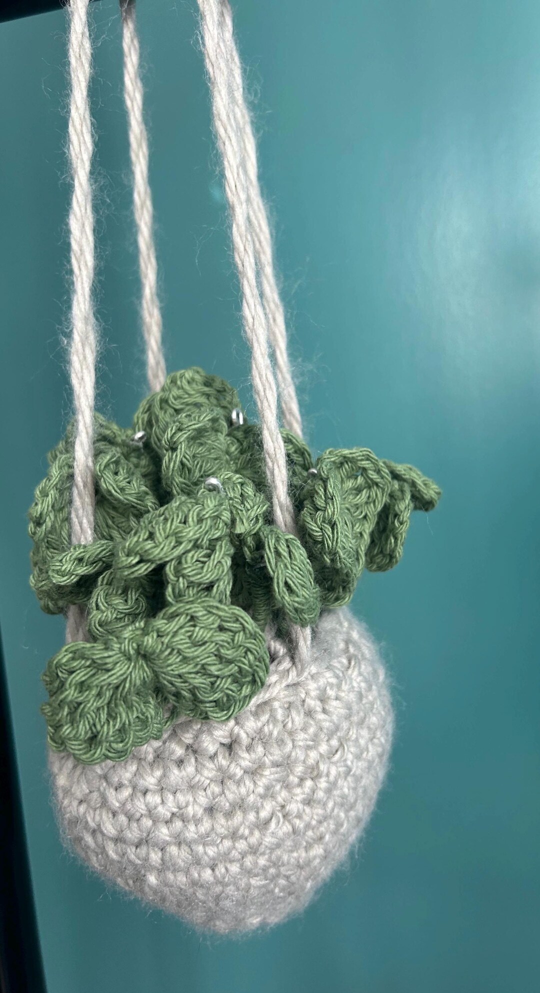 Devils Ivy Hanging Plant - Etsy