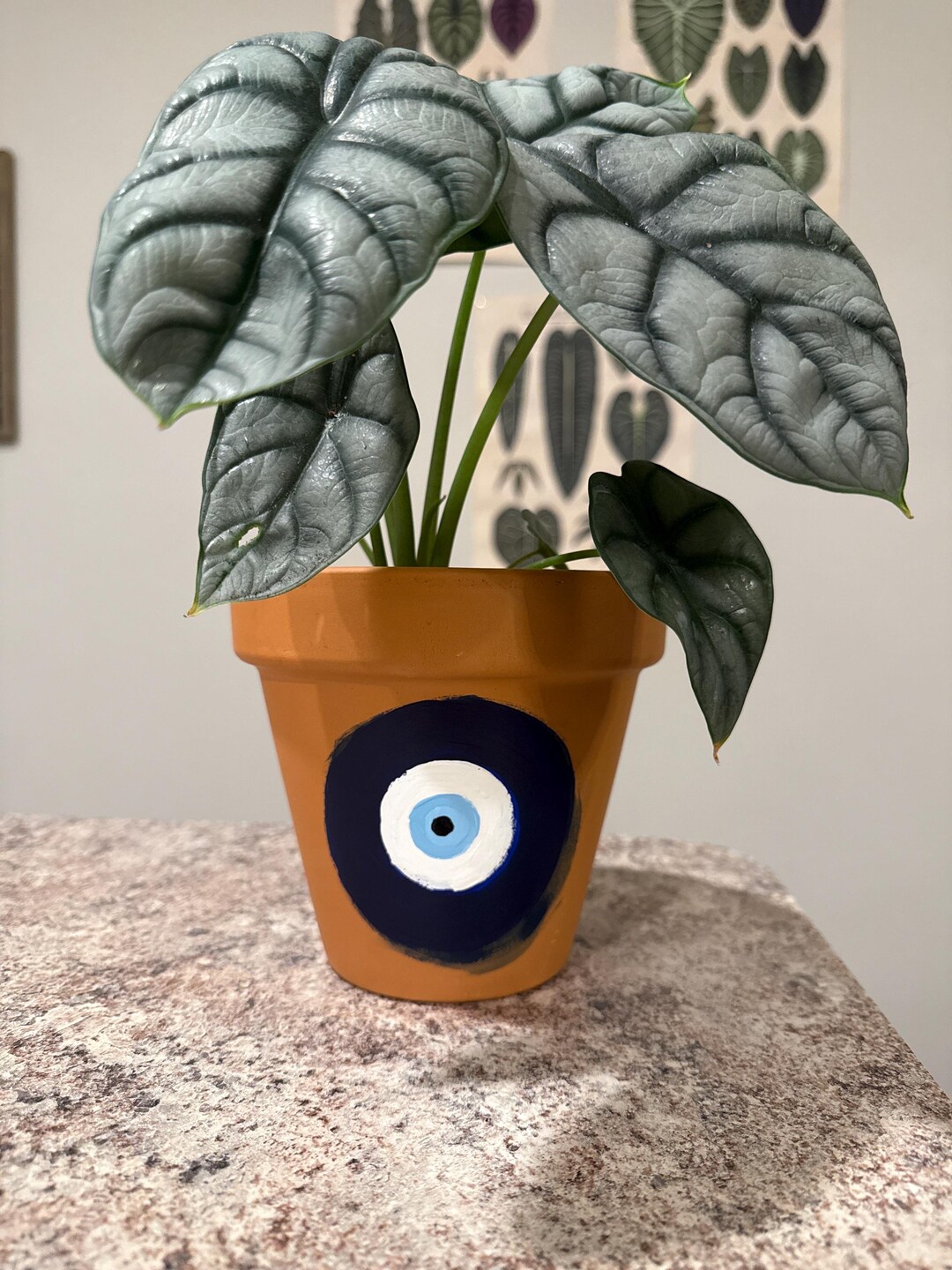 Evil Eye Terra Cotta Pot - Etsy