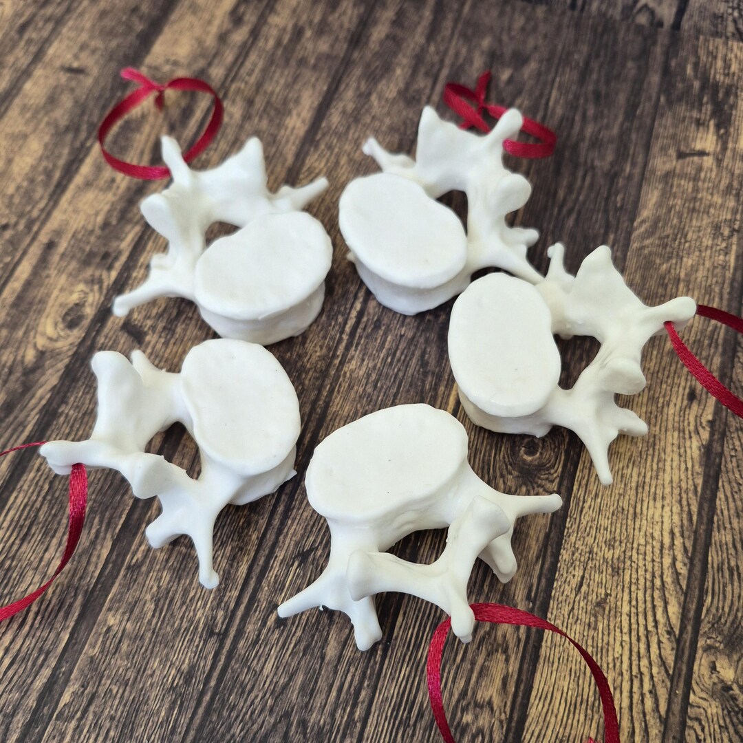 Set of Replica Resin Human Vertebrae Spine Bones Baubles Tree ...