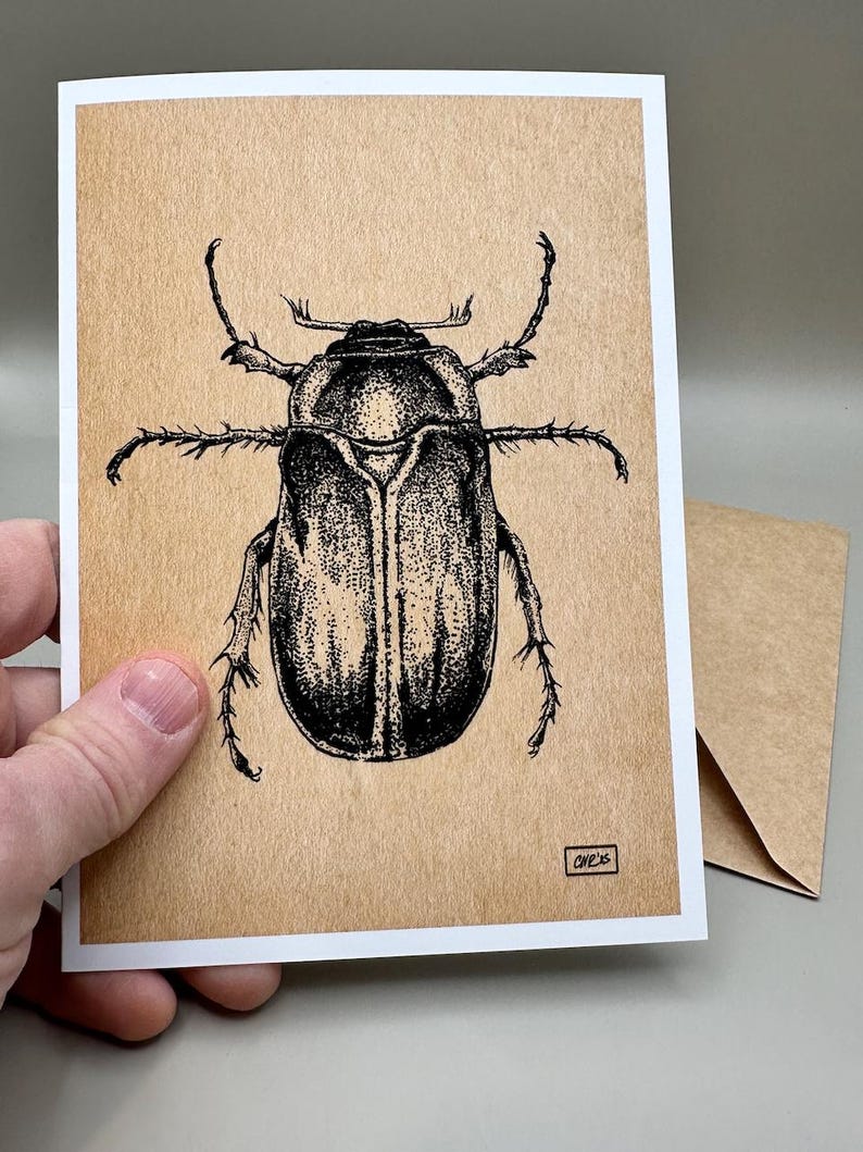 June Bug Entomology Study - Vintage Black and White Taxidermy ...