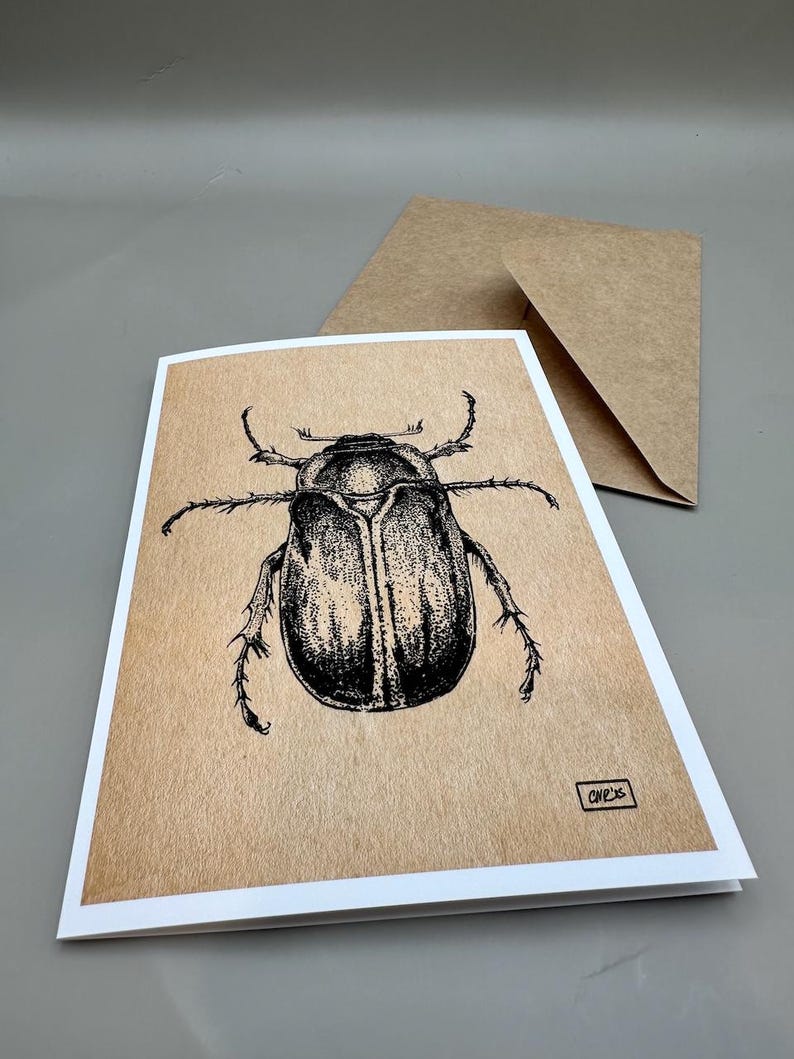 June Bug Entomology Study - Vintage Black and White Taxidermy ...