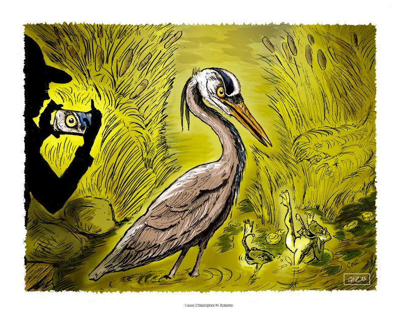 Blue Heron, Bird Watcher & Bull Frogs Illustration Pen and Ink Nature ...