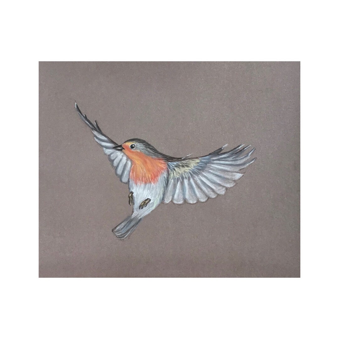 Robin in Flight - Etsy