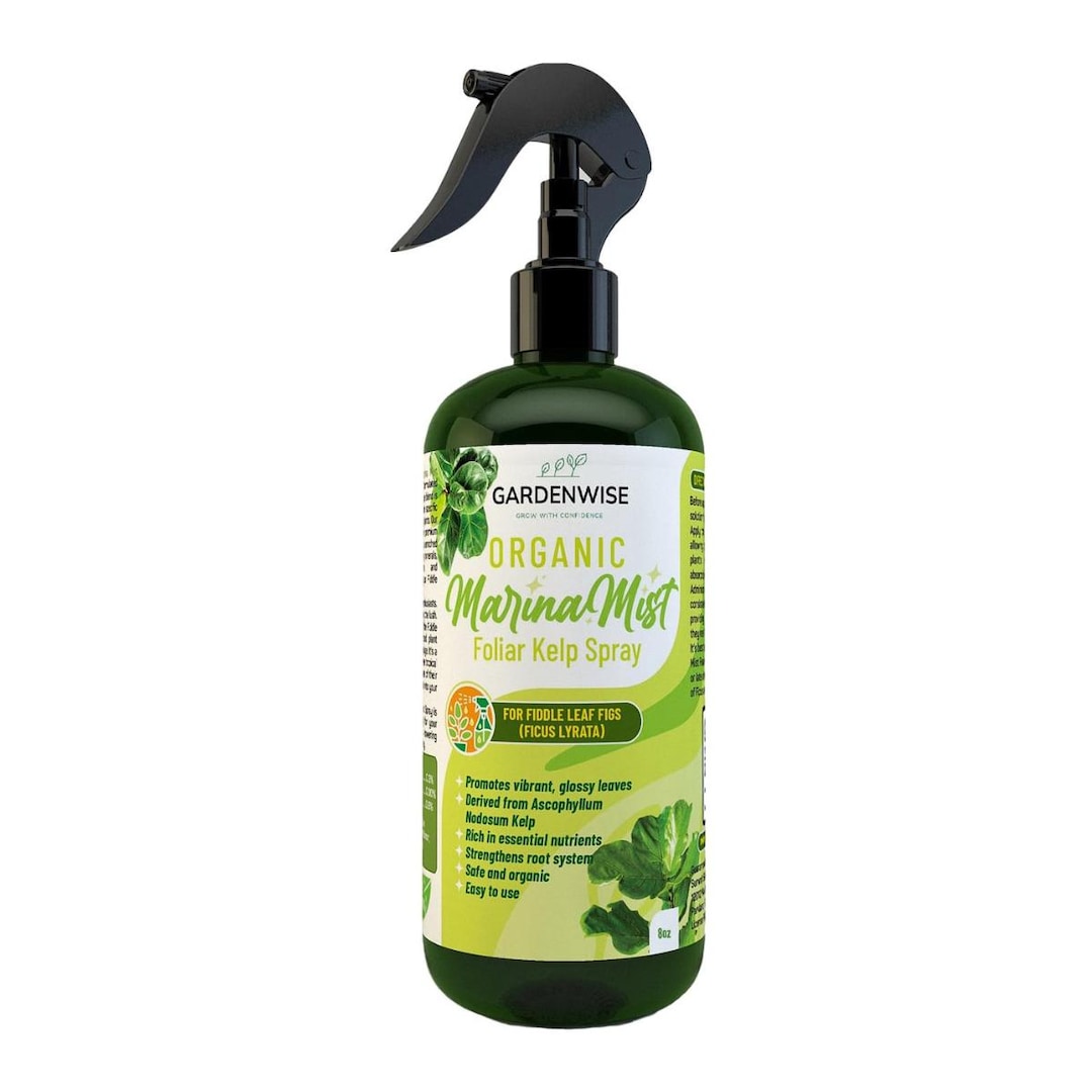 Organic Fiddle Leaf Fig Spray | Liquid Kelp Plant Food (8 Oz / 16 Oz ...